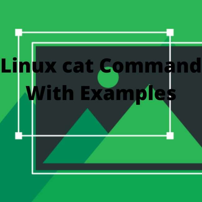 Linux Cat Command With Examples